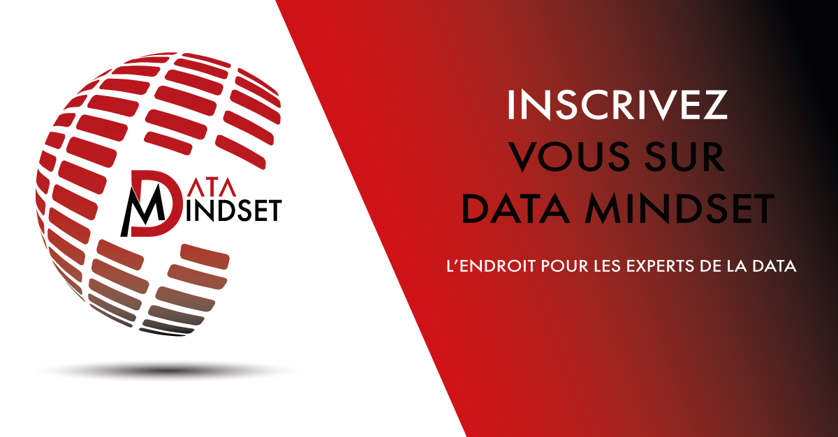 Profils de professionnels - Data Mindset